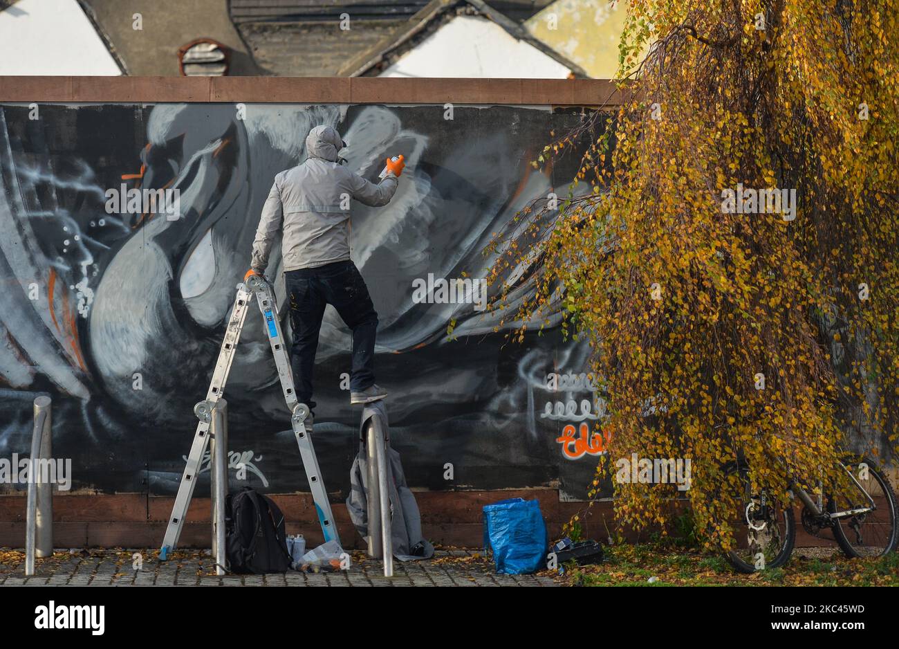 Graffiti artist Shane Sutton creating a mural with swans, located at ...