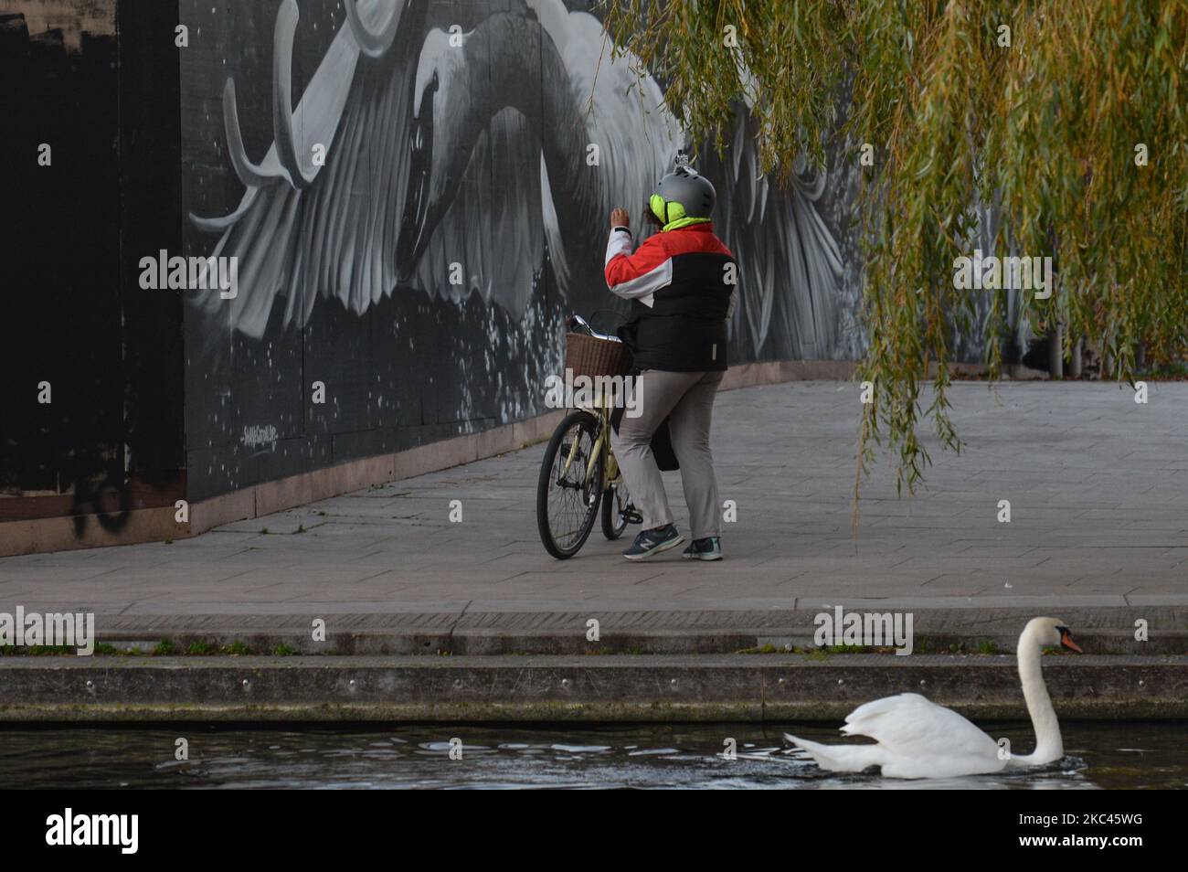 A cyclist takes a photo of a new mural with swans, by the Irish artist ...