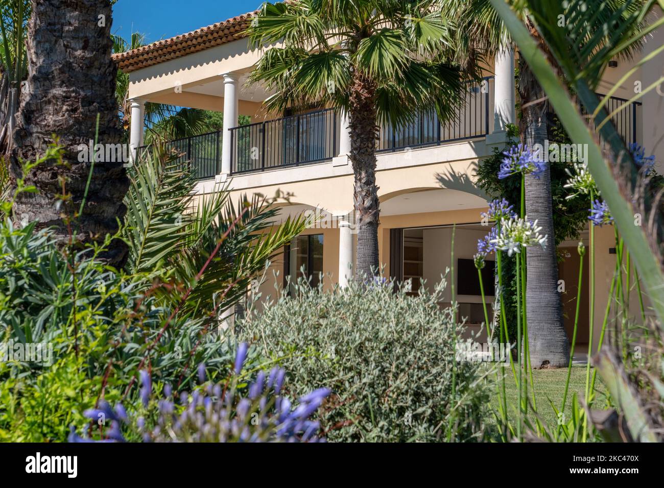 An exterior of a large luxurious garden with palm trees of a sumptuous ...