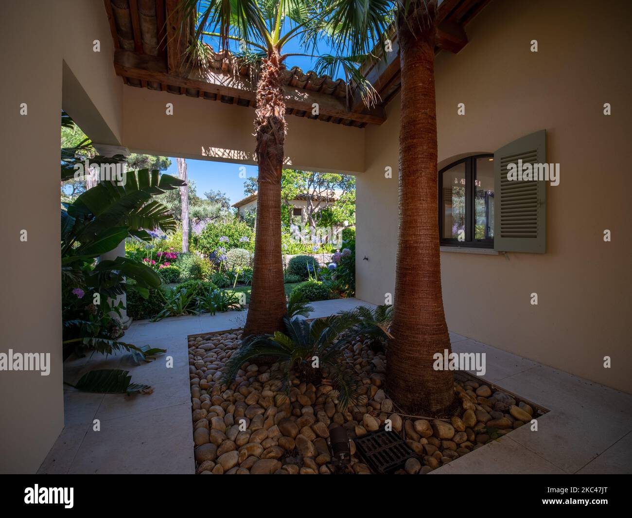 The two palm trees growing inside a building with an open ceiling and a ...