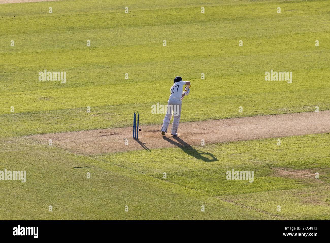 Cricket strength hi-res stock photography and images - Alamy