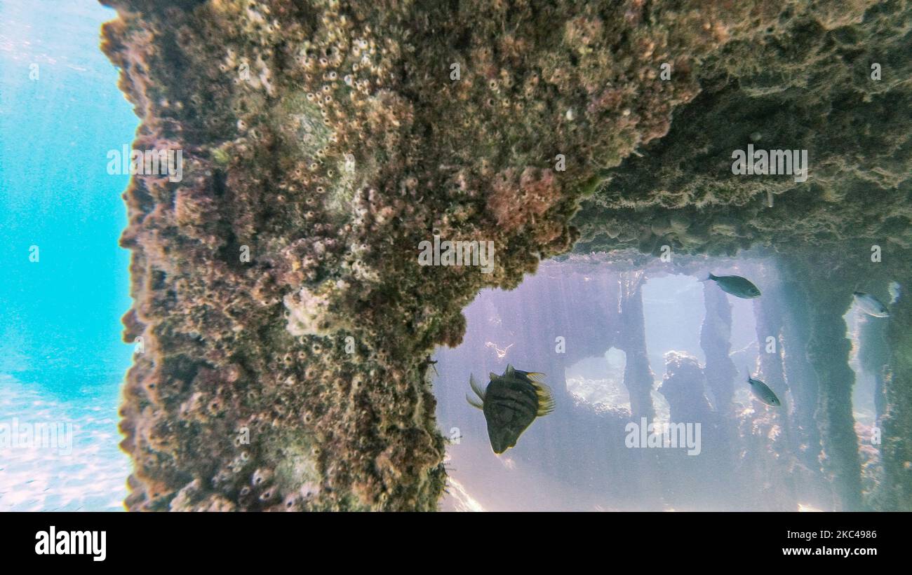 Underwater images in the Aegean Sea of the old rusty shipwreck in ...