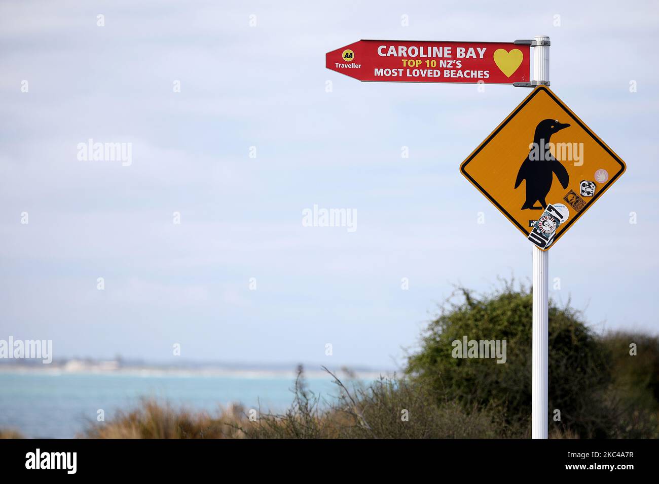 The entrance to the little blue penguins colony is seenÂ at Caroline ...