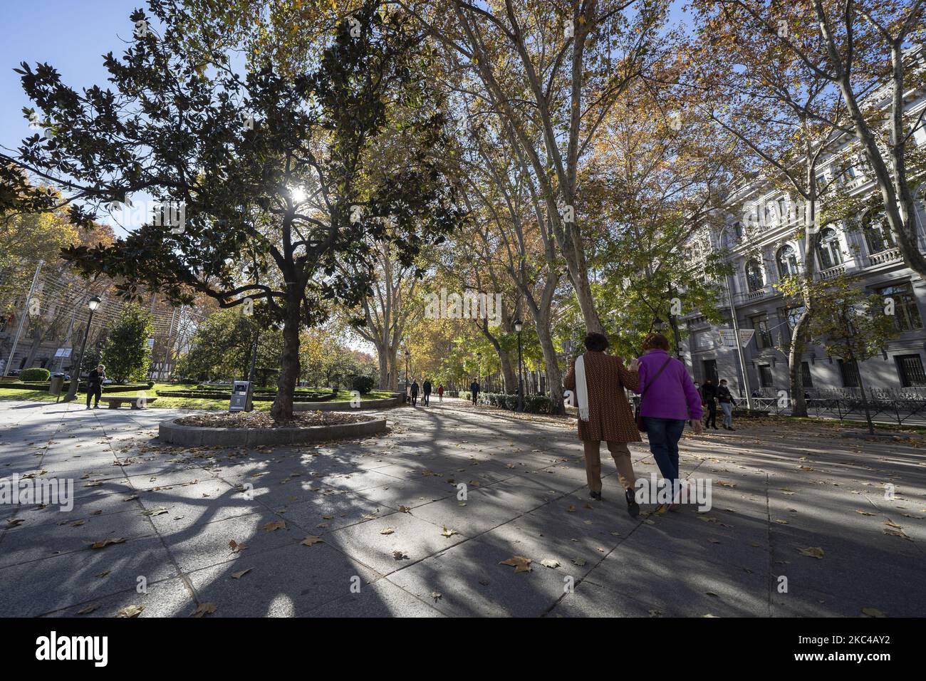 General view of Paseo del Prado, Madrid presents the candidacy of ...