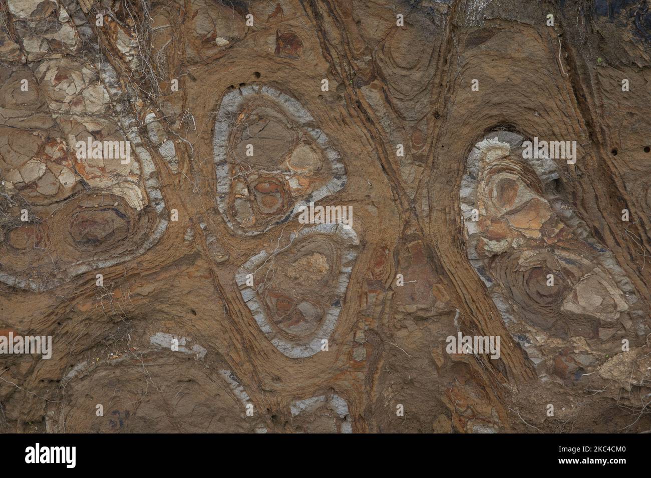 Patterns in cliff face formed from petrified forest are seenÂ at Curio ...