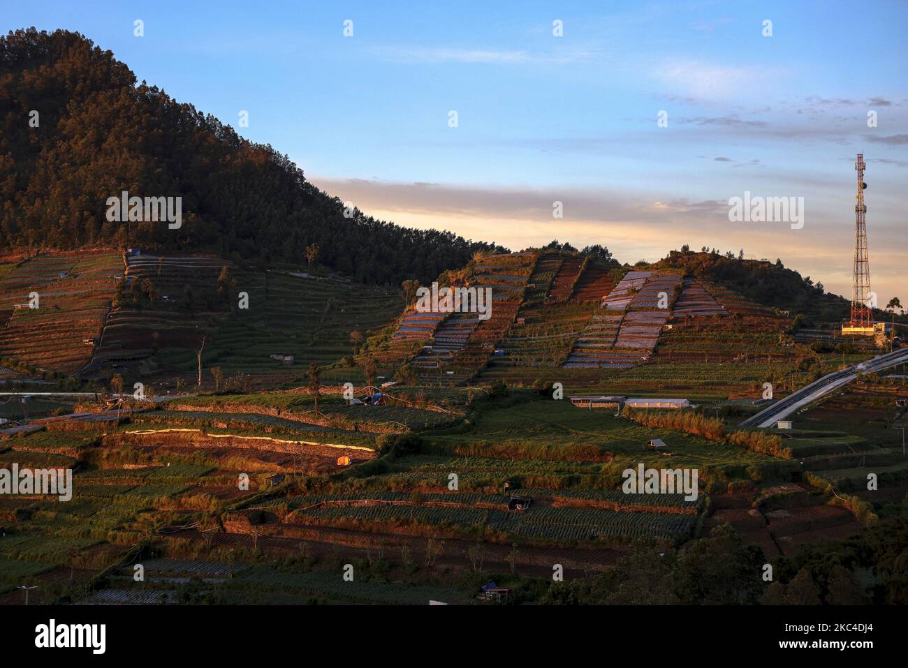 Dieng plateau region hi-res stock photography and images - Alamy