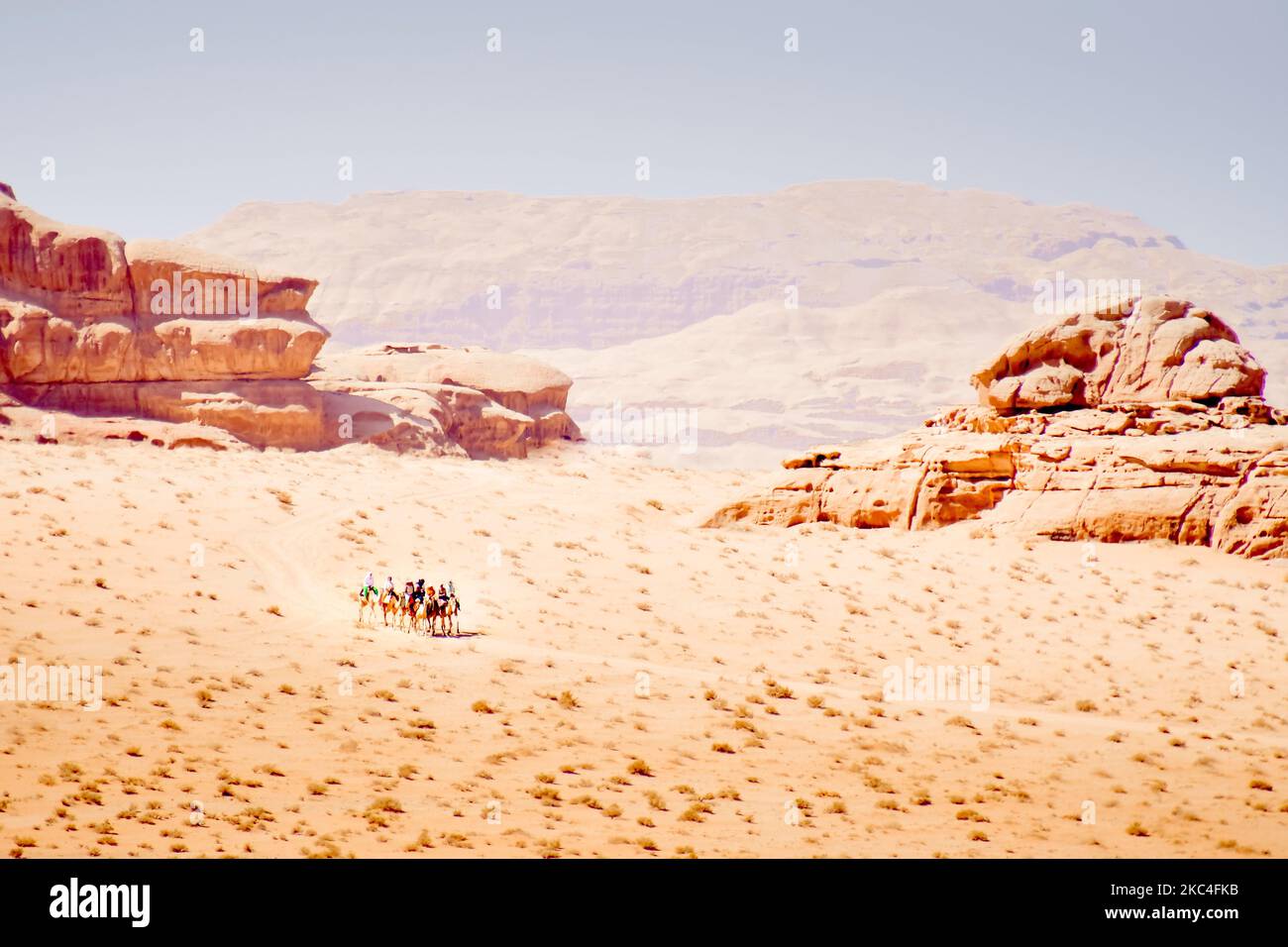 Group of tourist ride on camel caravan in wadi rum desert with scenic ...