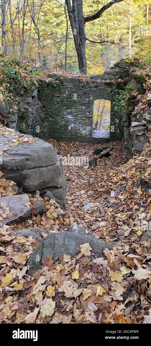 The Ruins of an old building in an autumn forest in Ontario, Canada ...