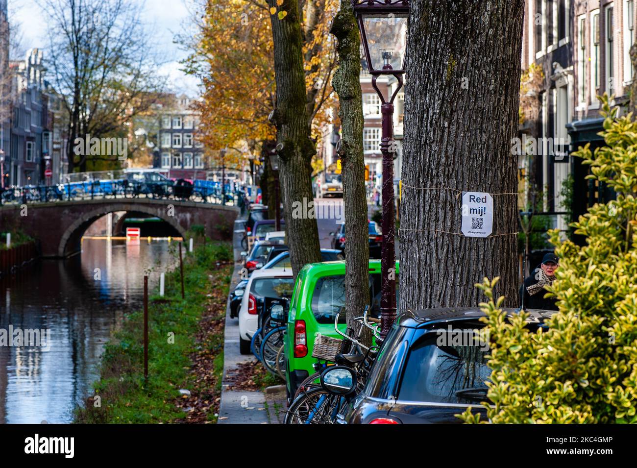 Some of the trees that are under treat of being cut down, are showing ...