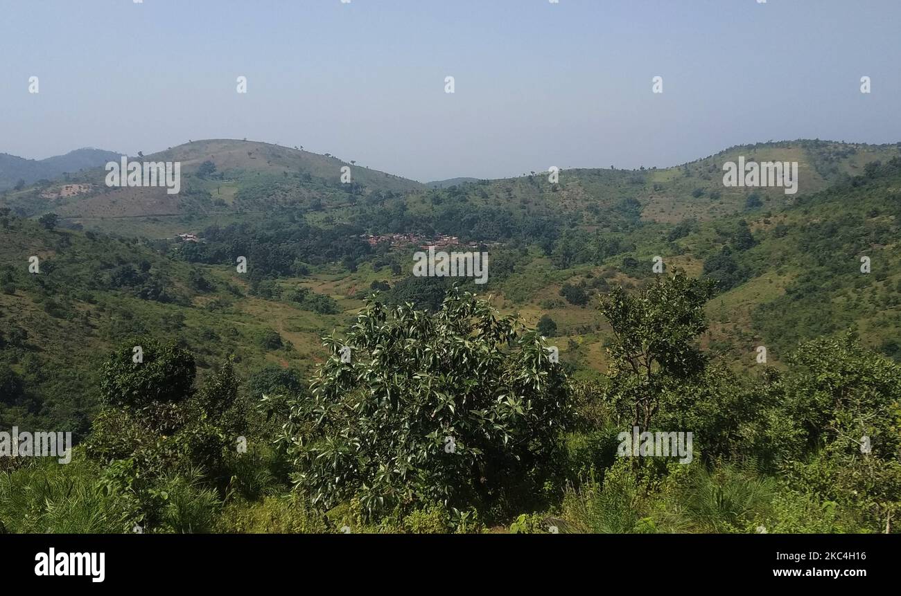 Indigenous Bonda cast tribes are seen at their living valley as they ...