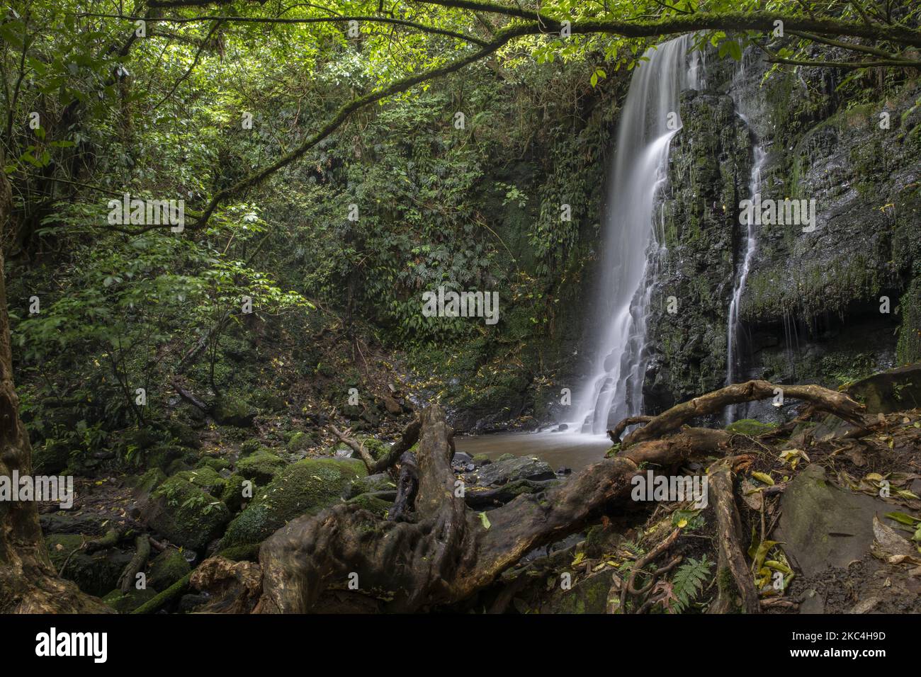Mataia hi-res stock photography and images - Alamy