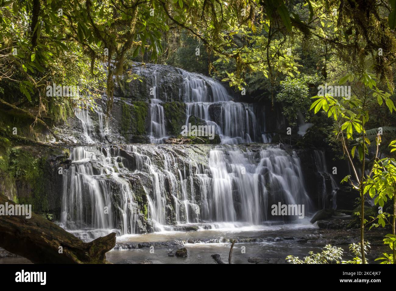 Purakaunui falls in the catlins on the south island of hi-res stock ...