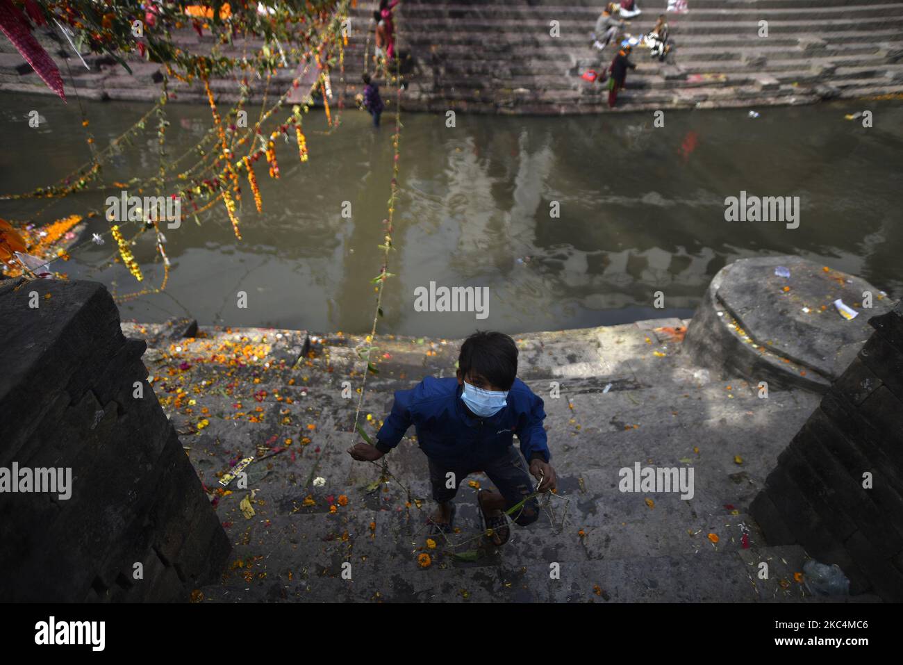 Tulsi biwaha hi-res stock photography and images - Alamy