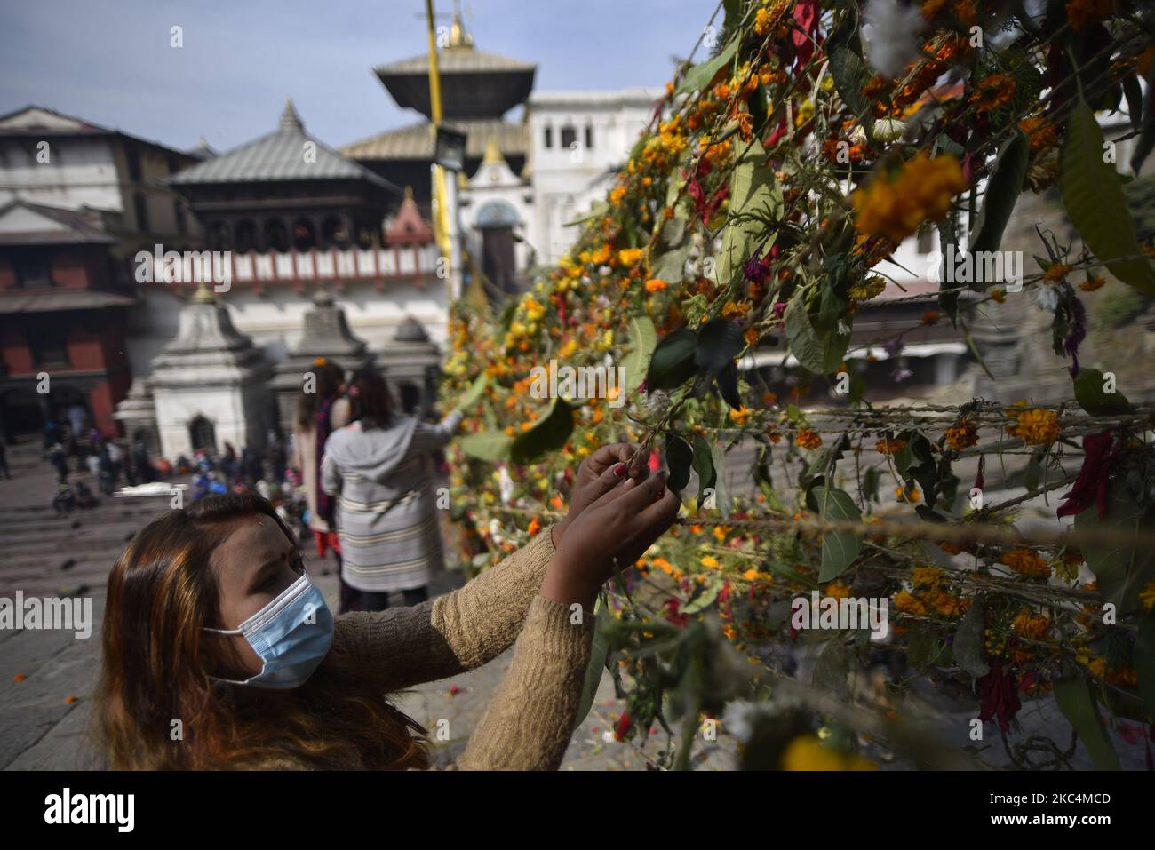 Tulsi biwaha hi-res stock photography and images - Alamy