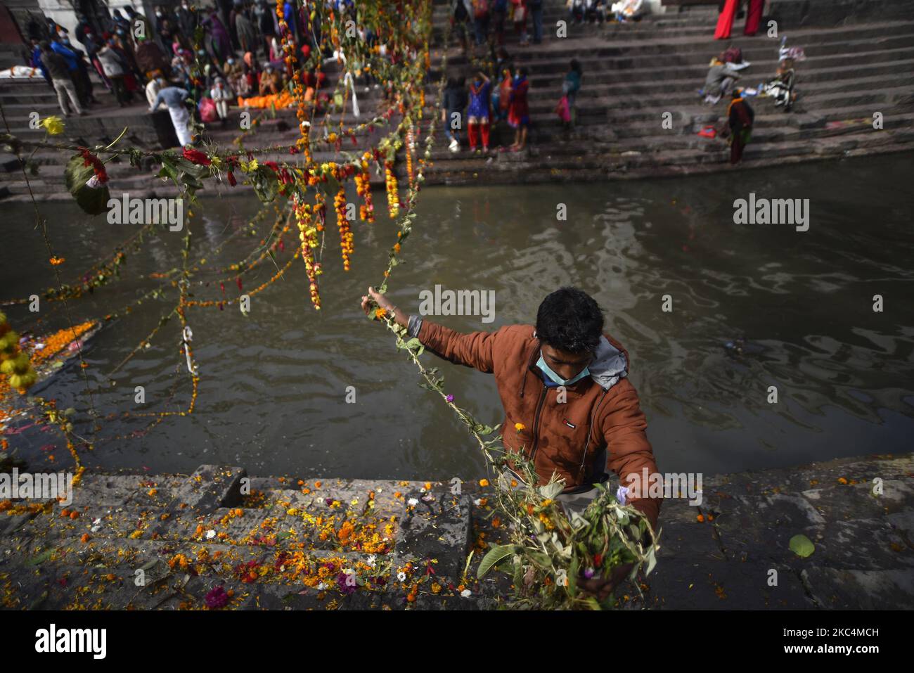 Tulsi biwaha hi-res stock photography and images - Alamy