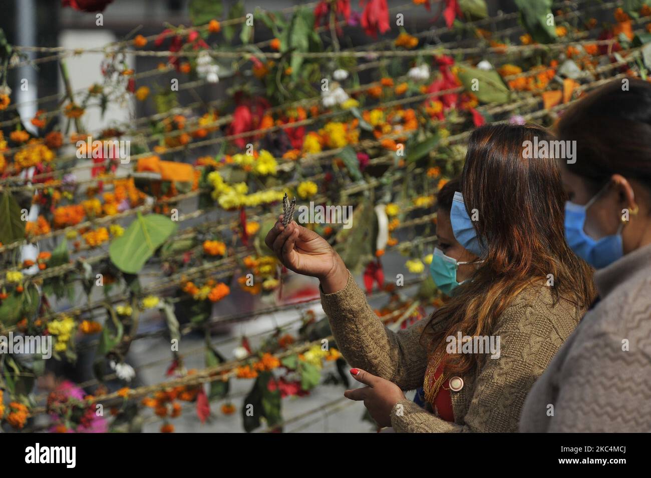 Tulsi biwaha hi-res stock photography and images - Alamy