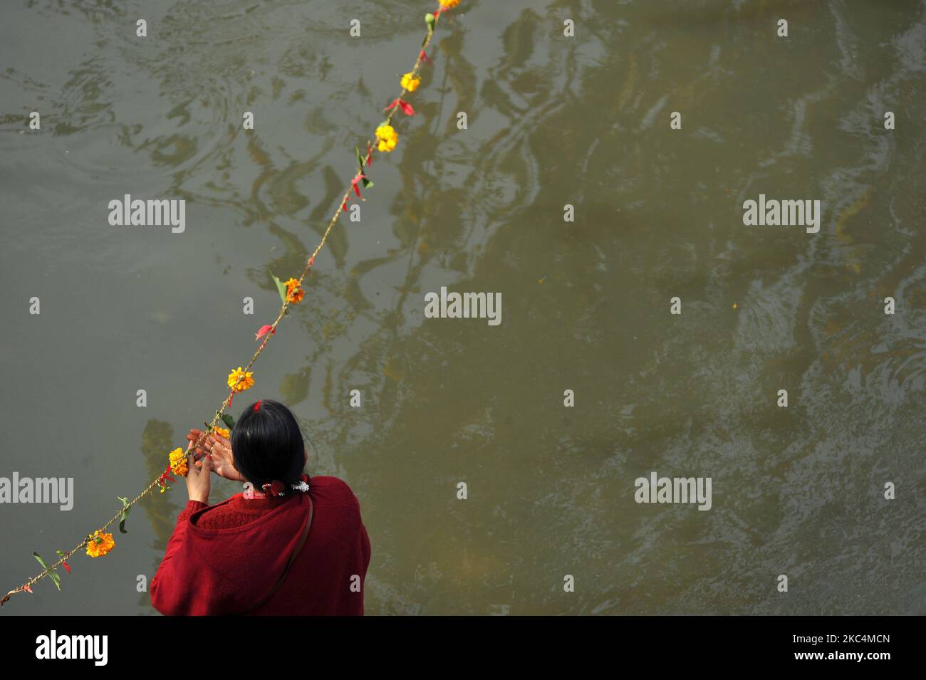 A Nepalese devotee tighten religious rope consists of flower, fruits ...