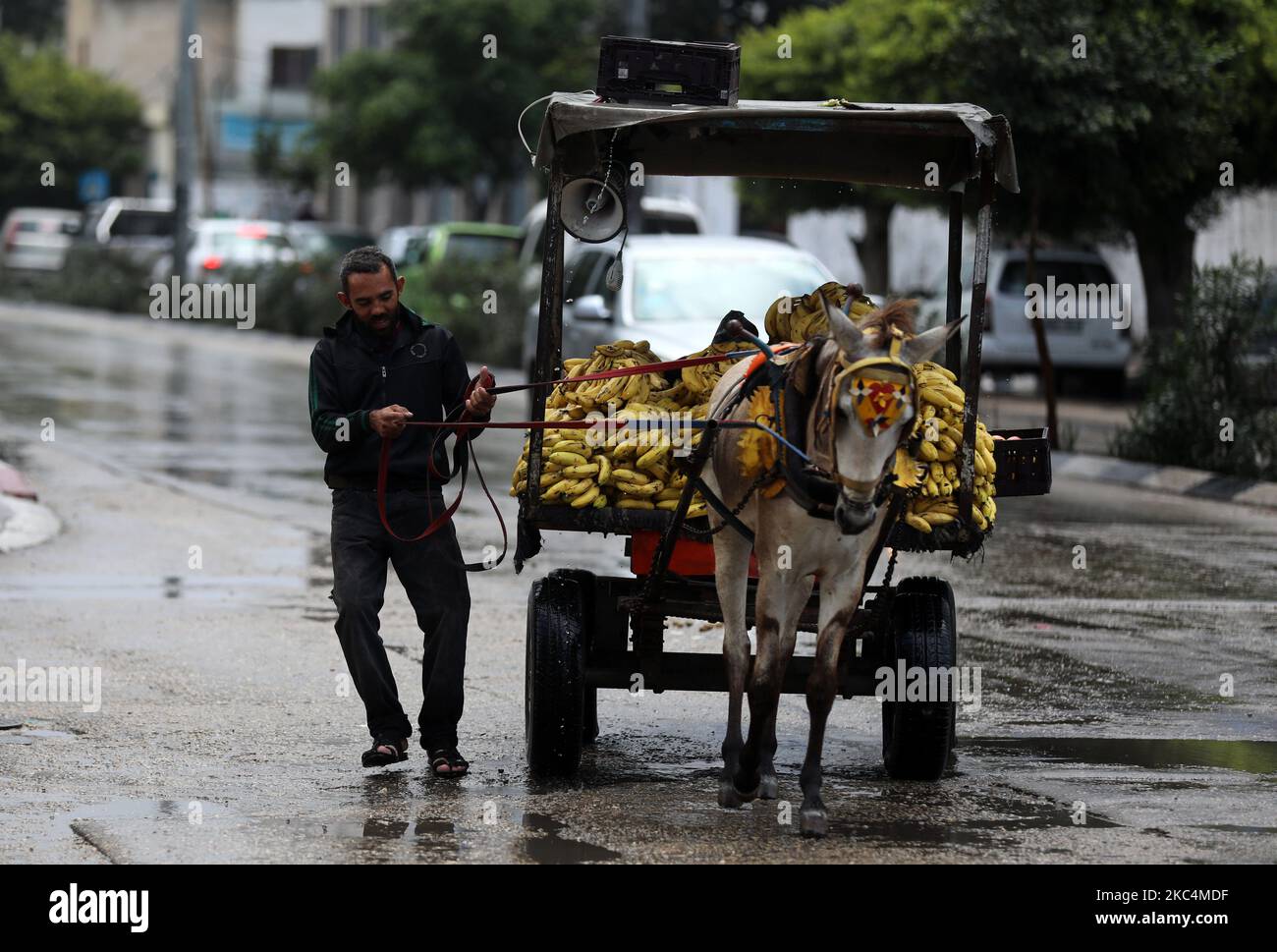Man and boy on cart drawn by a donkey hi-res stock photography and ...