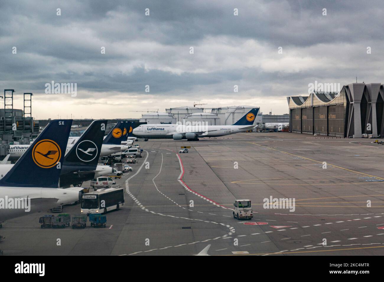 Tail lineup, row of Lufthansa aircraft with the logo visible with a ...