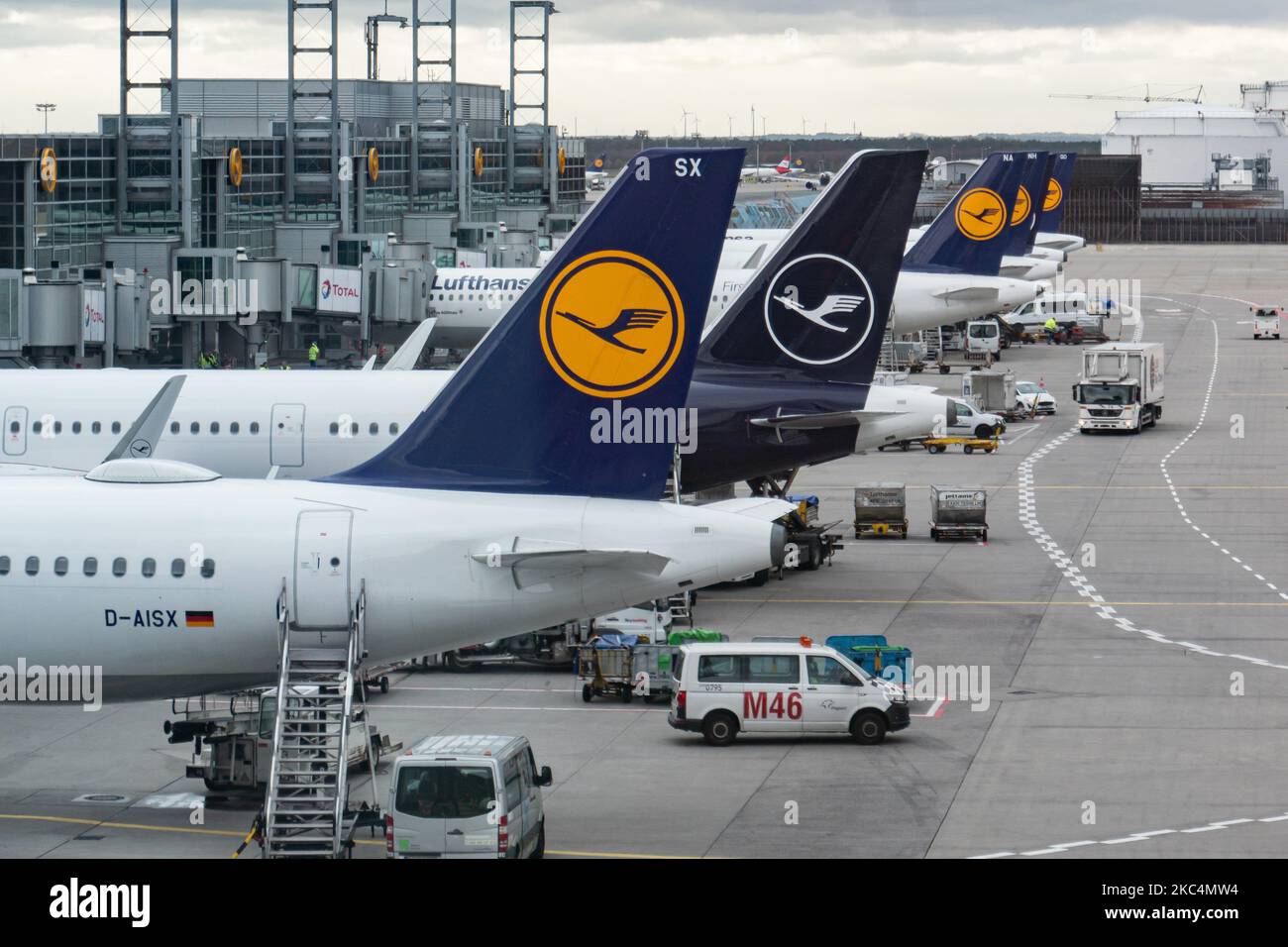 Tail lineup, row of Lufthansa aircraft with the logo visible as seen ...