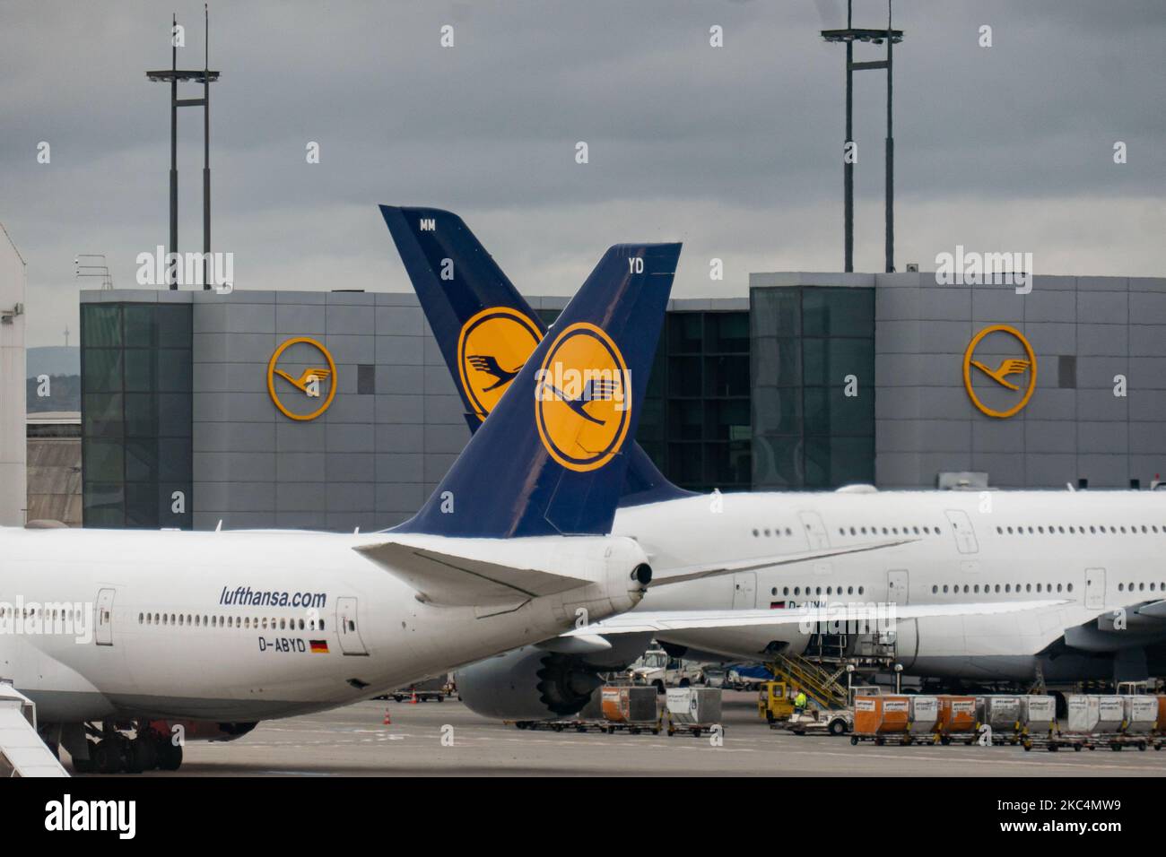 Tail lineup, row of Lufthansa aircraft with the logo visible as seen ...