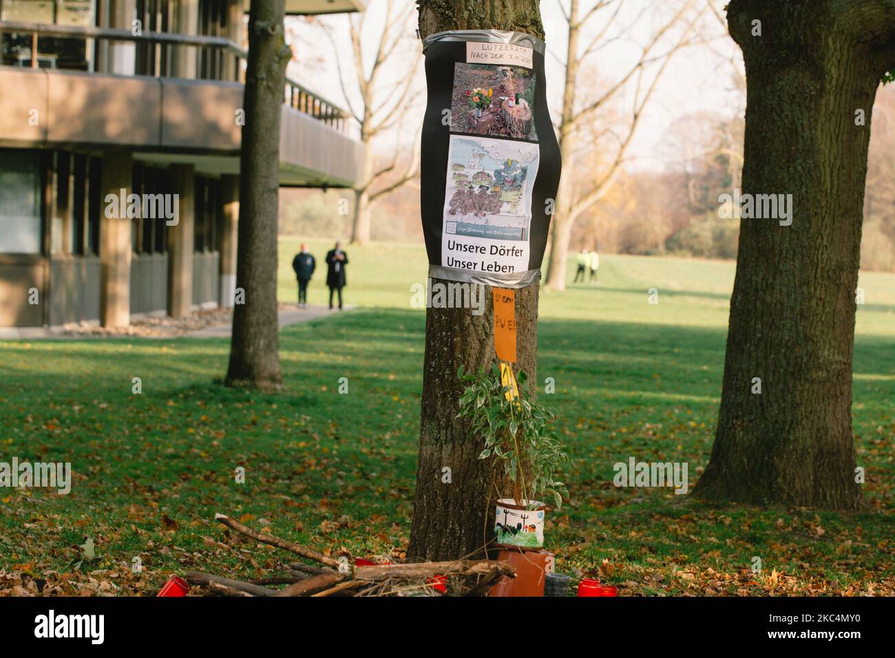 Are placed on the tree hi-res stock photography and images - Alamy