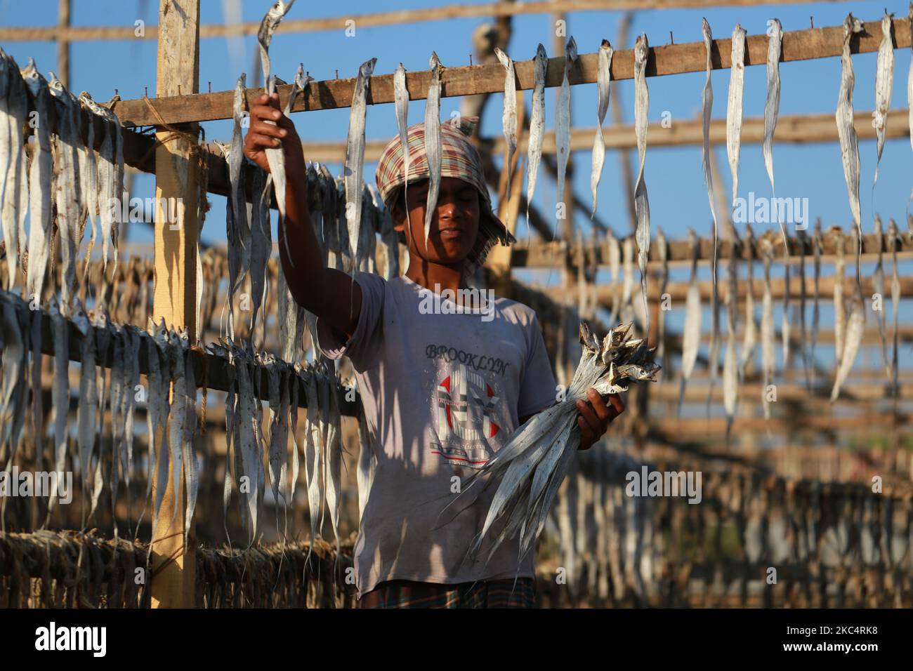A worker dry fishes at a sea fish processing yard at the shore of Bay ...