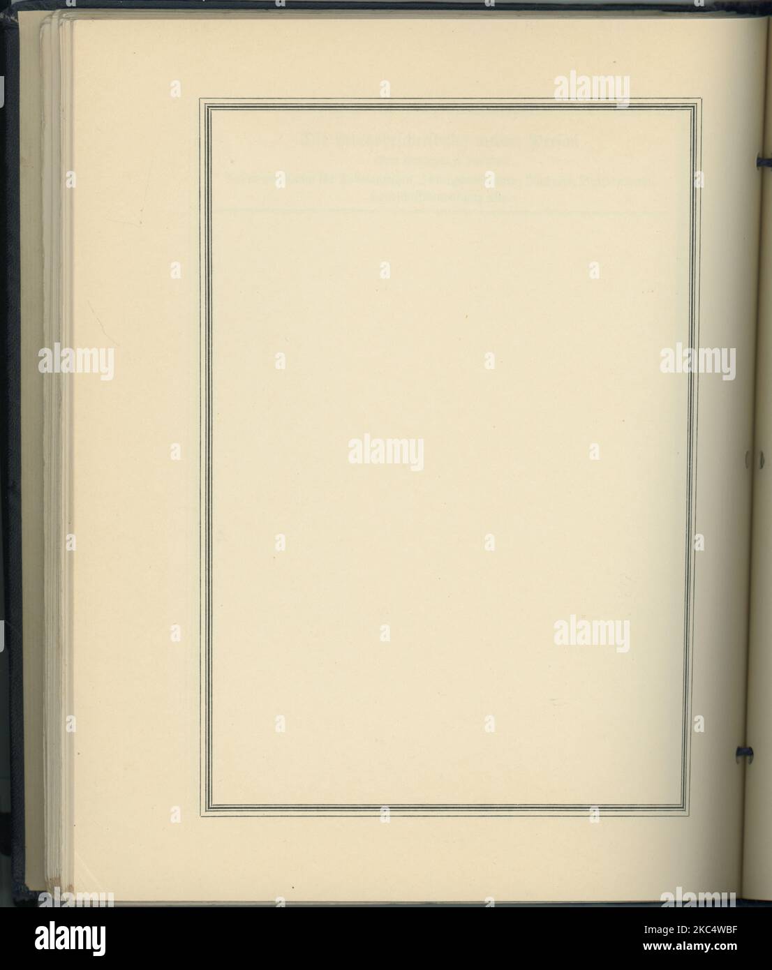 Empty page from a hundred year old book. It's part of a German family ...