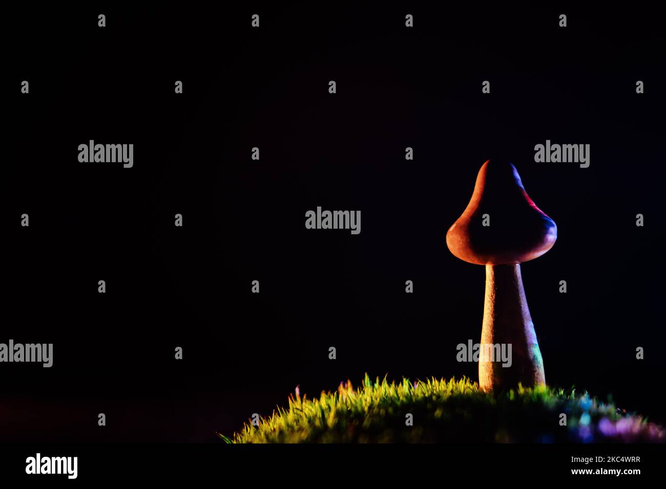 Psilocybin therapy as treatment of mental health challenges. psilocybin ...