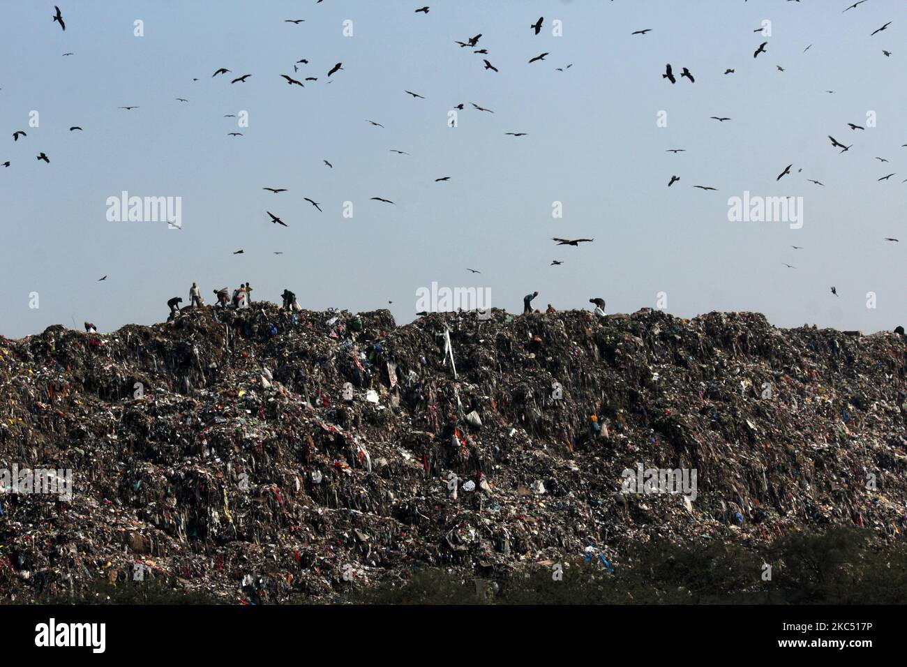 Rag pickers collect usable items from a pile of waste, at Bhalswa ...