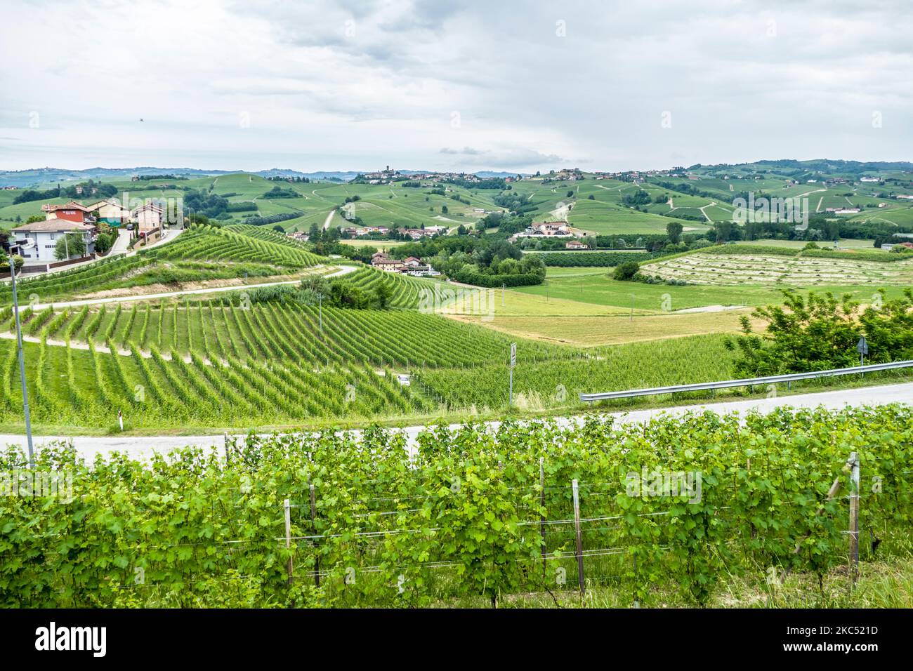 panorama of the Langhe hills with many vineyards Stock Photo - Alamy