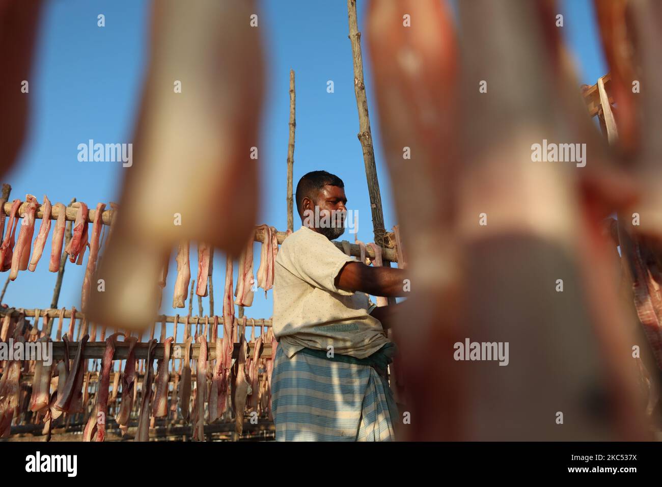 A worker dry fishes at a sea fish processing yard at the shore of Bay ...