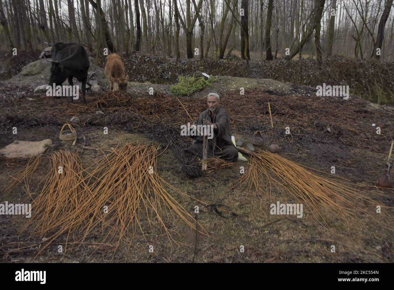 A Kashmiri worker peel off the skin from boiled twigs to make a "Kangri ...
