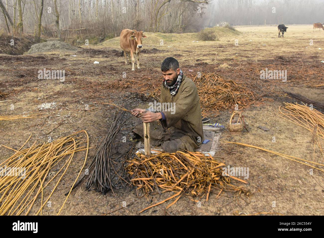 A Kashmiri worker peel off the skin from boiled twigs to make a "Kangri ...