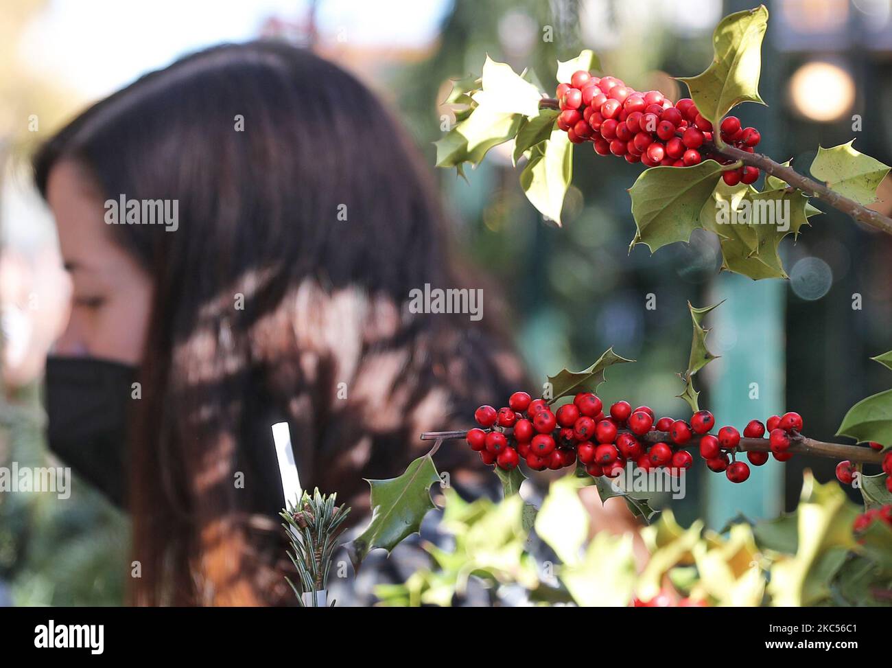 The Santa Llucia Fair, the oldest Christmas fair in Europe, takes all ...