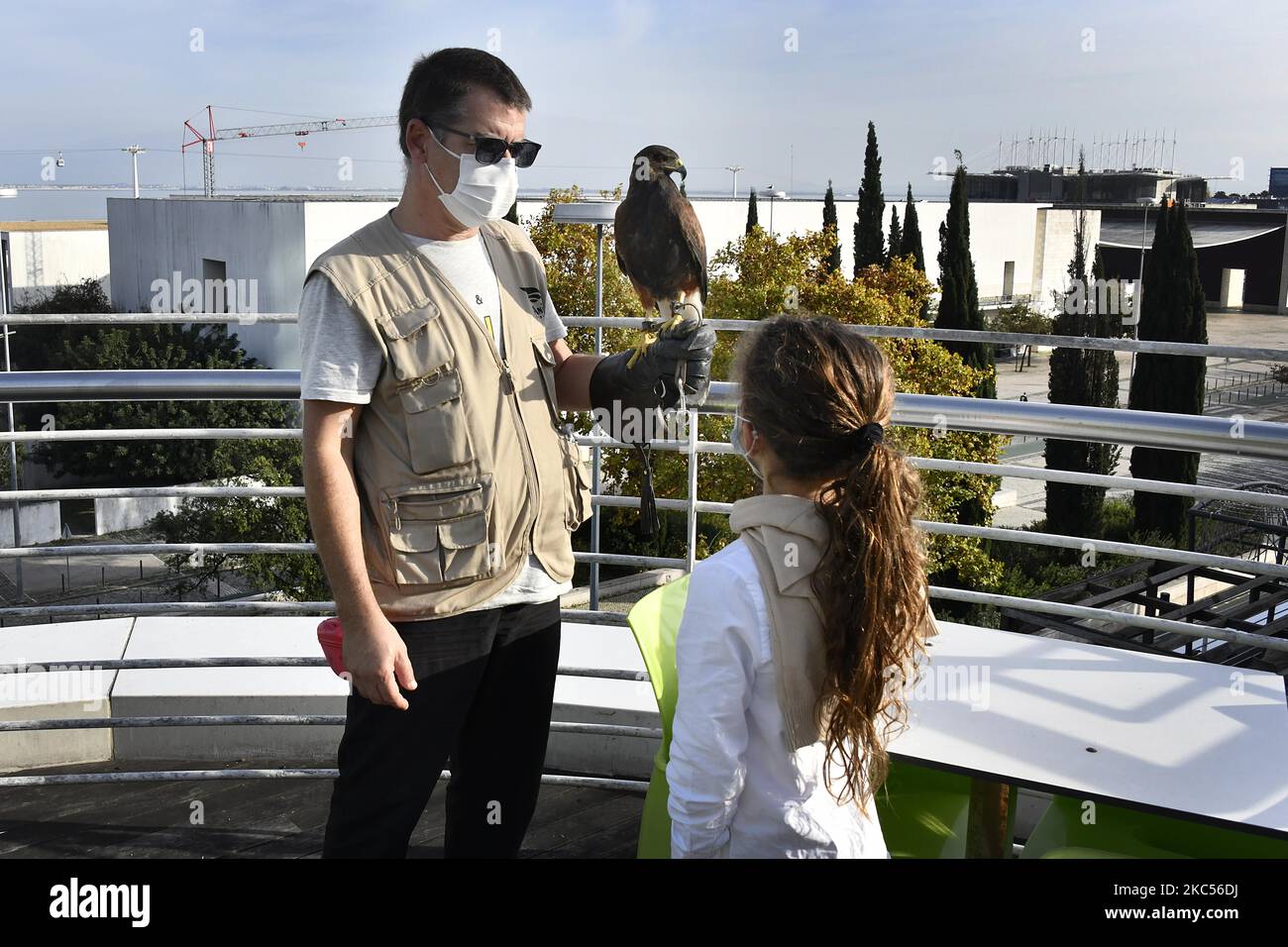 A master falconer demonstrates to visitors the benefits of a bird of ...
