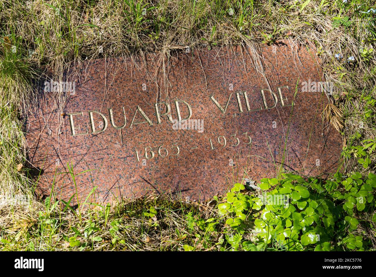 A Gravestone of Eduard Vilde, famous Writer, Tallinn Forest Cemetery in ...