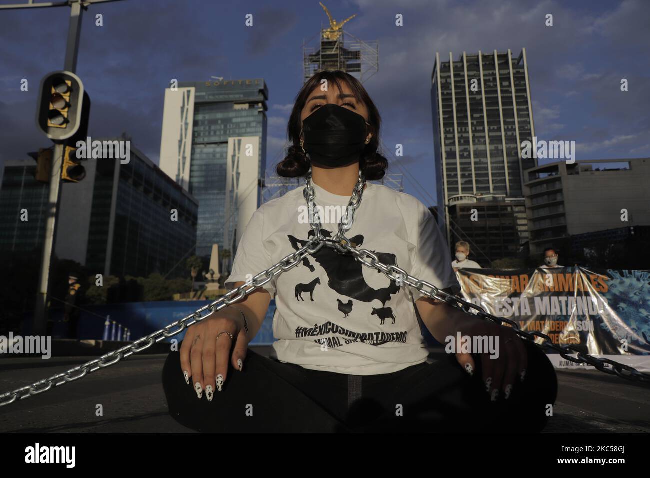 Animal save movement mexico hi-res stock photography and images - Alamy