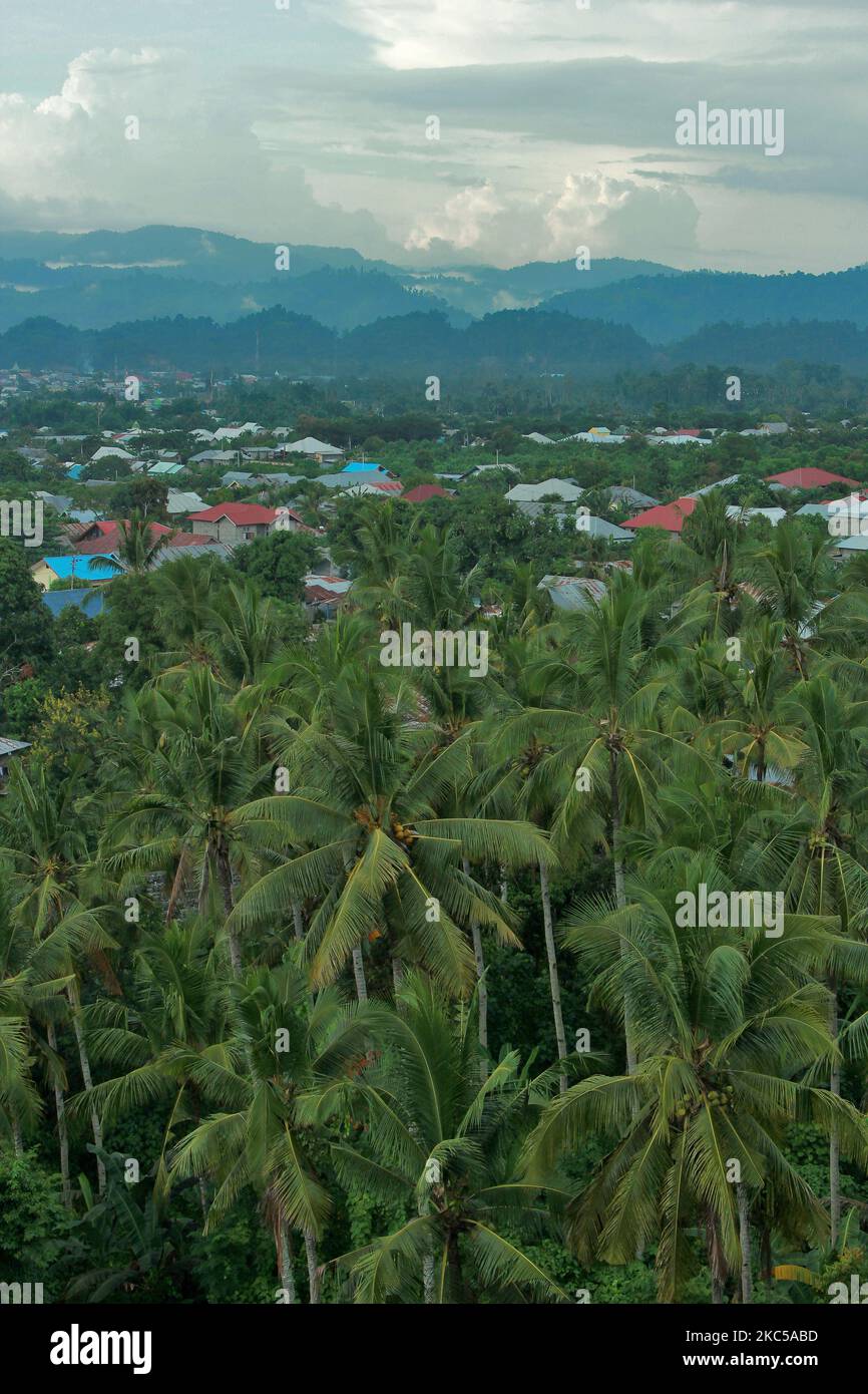 Views of coconut groves, countryside and mountains in one frame Stock ...