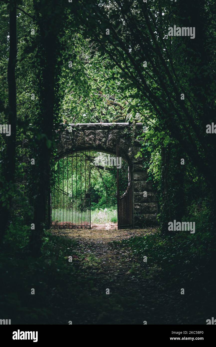 An old stone gate surrounded by tall trees Stock Photo - Alamy