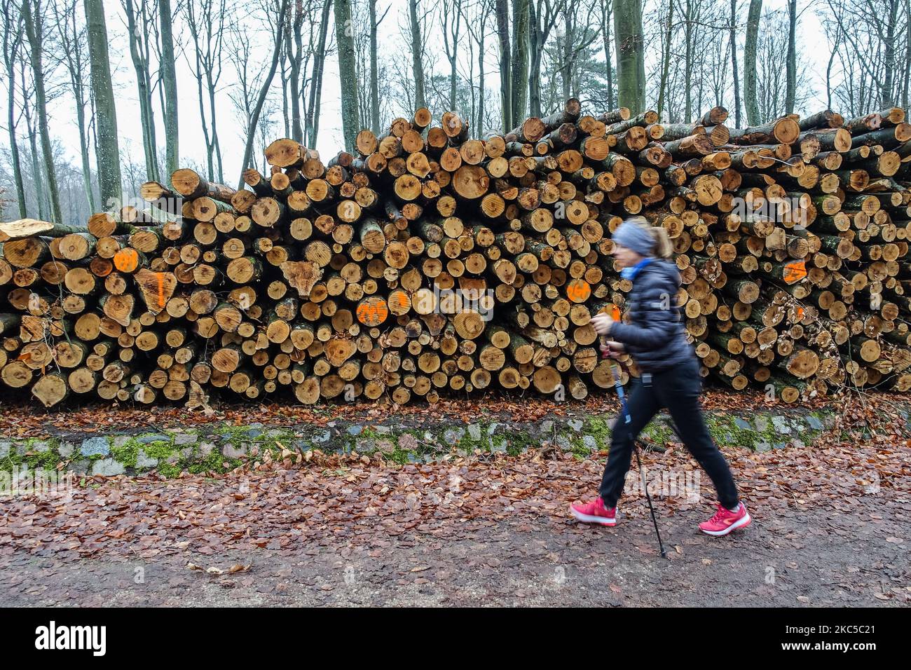 Mass deforestation hi-res stock photography and images - Alamy