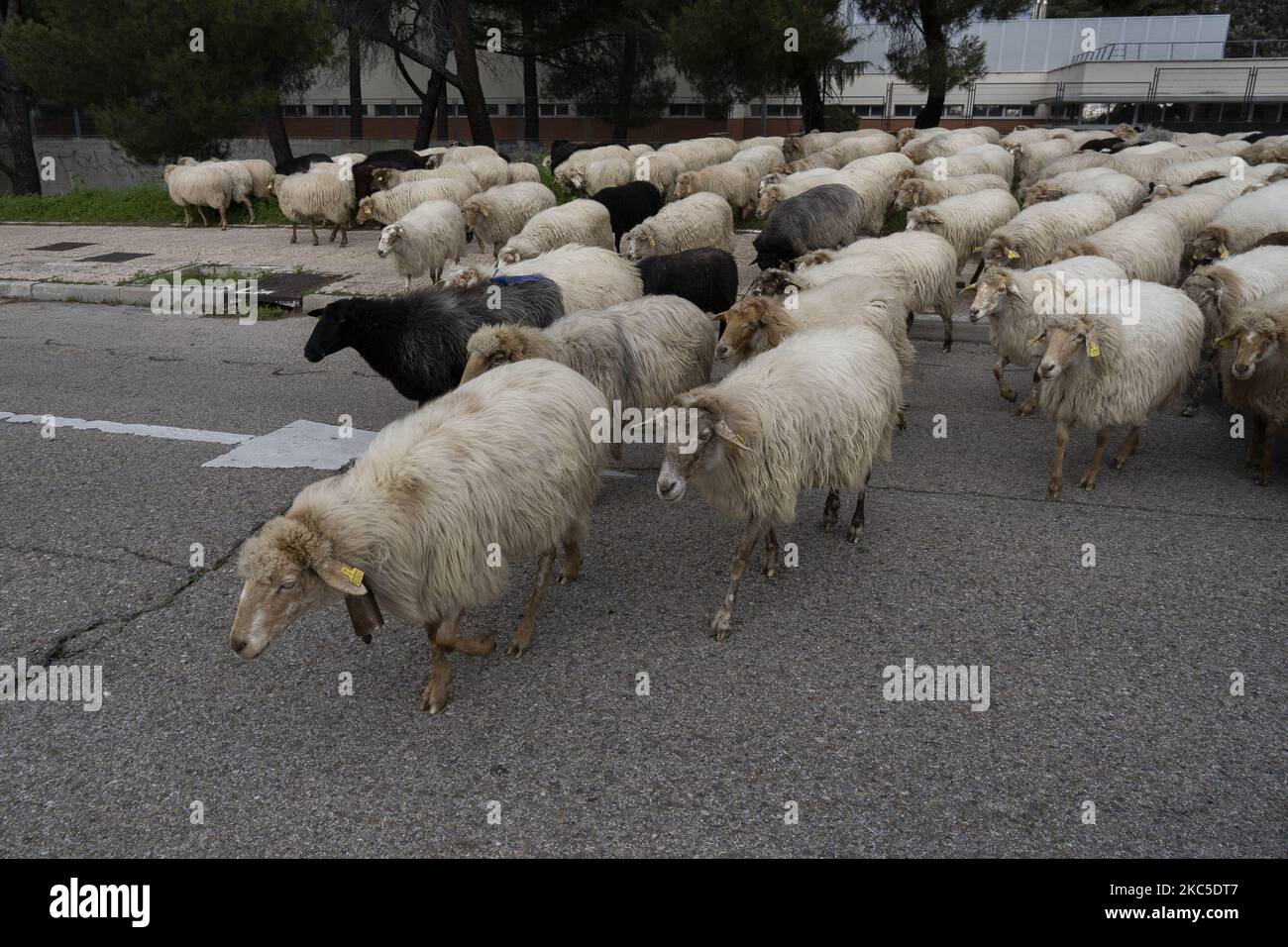 área de casa de campo hi-res stock photography and images - Alamy