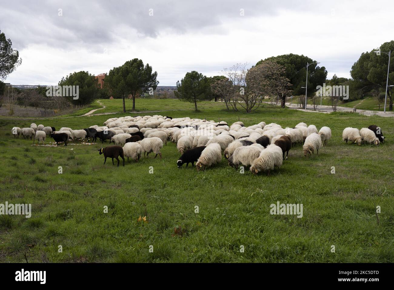 área de casa de campo hi-res stock photography and images - Alamy