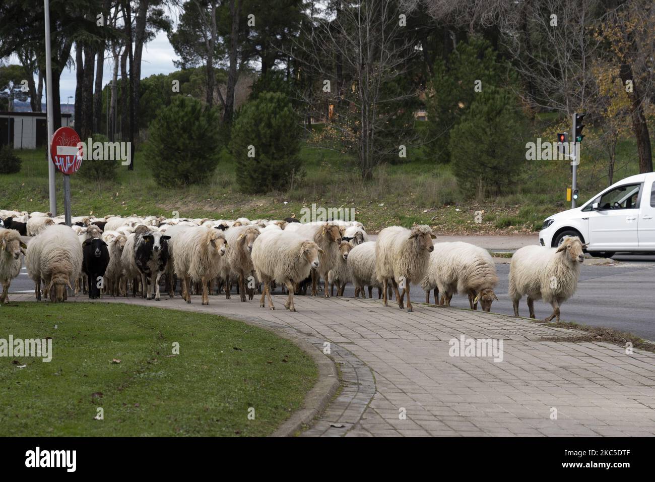 área de casa de campo hi-res stock photography and images - Alamy