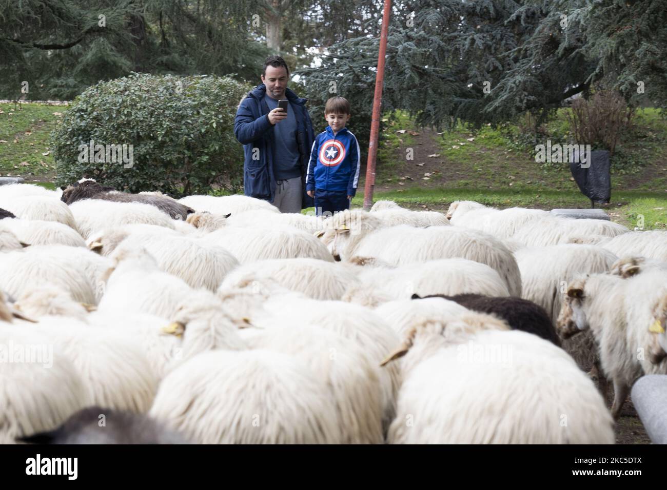 área de casa de campo hi-res stock photography and images - Alamy