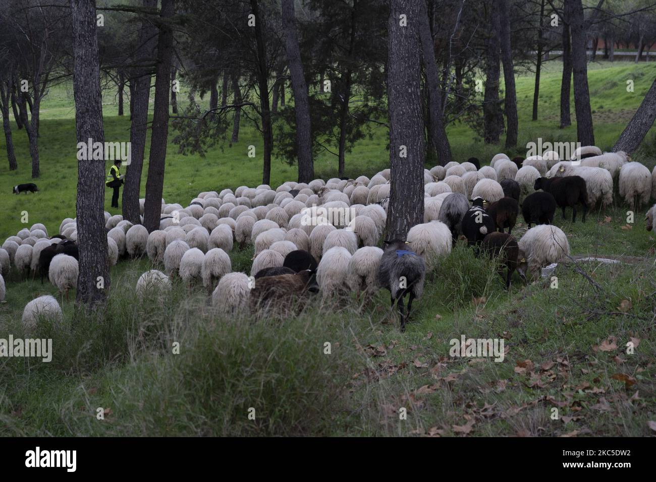 área de casa de campo hi-res stock photography and images - Alamy