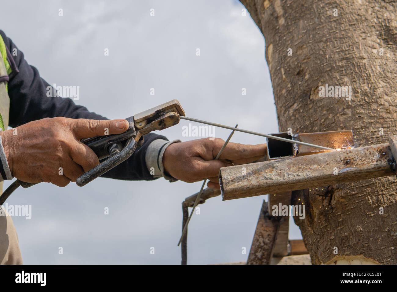 Tree supports hi-res stock photography and images - Alamy