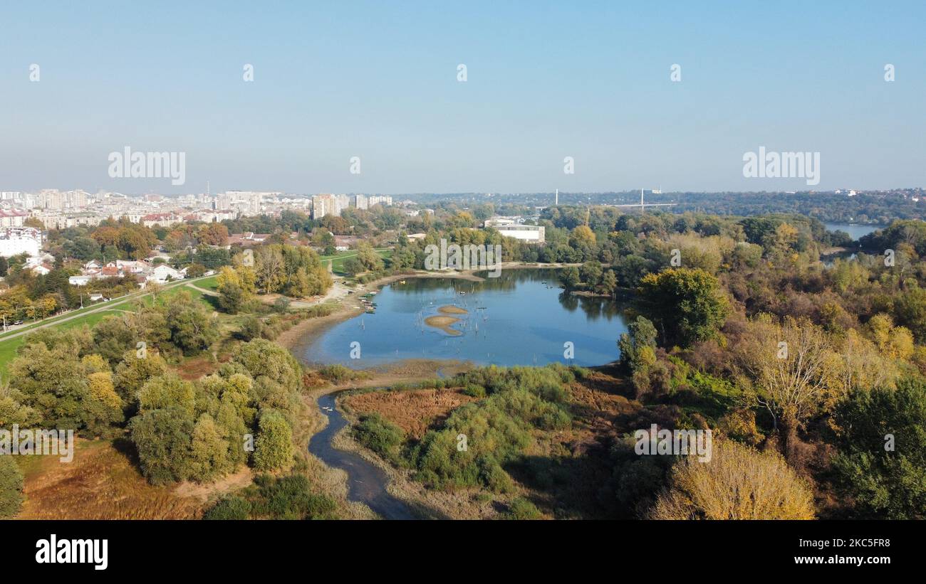 An aerial view of lake at fishing complex surrounded by greenery Stock ...