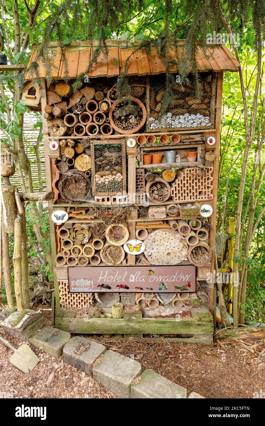 Eco-friendly insect hotel; a home for bees, ants and more Stock Photo ...