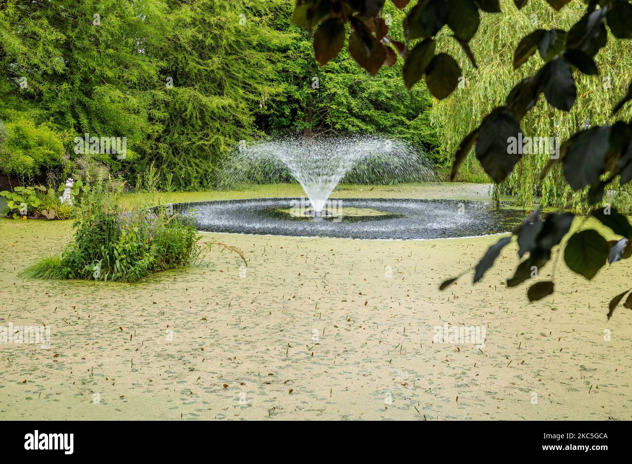 Water fountain surrounded by trees hi-res stock photography and images ...